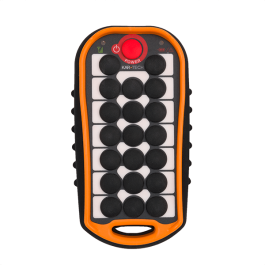20 Button MEGA Transmitter